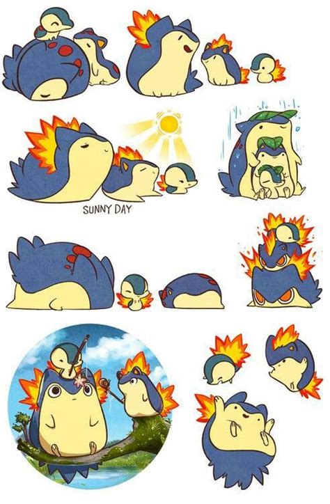 55 Best Cyndaquil Quilava Typhlosion Images On Pinterest Pokemon