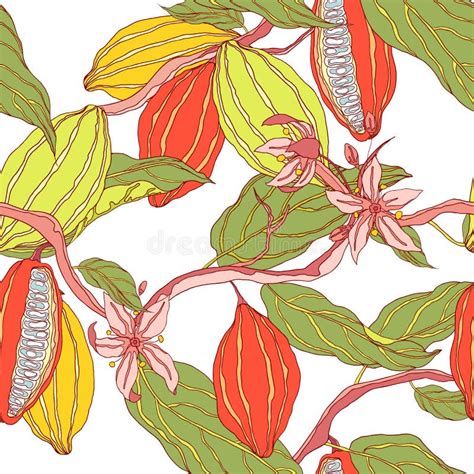 Plant Seamless Pattern Hand Drawn Line Art Cocoa Tree On Bright Grey Stock Illustration
