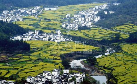 江西婺源：万亩梯田油菜花进入最佳赏花期 人民图片网
