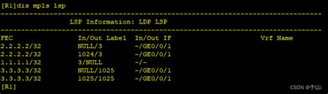 华为ensp之mpls初级应用mpls配置实例 Csdn博客 华为ensp之mpls初级应用mpls配置实例 Csdn博客