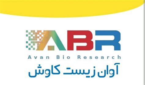 Seyed Ahmad Mousavi On Linkedin چه زمانی باید شرکت خودمان را تاسیس