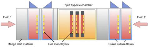 Schematic Representation Of The Gsi Hypoxic Phantom Download