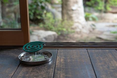 Exploring The Power Of LUTs In Photographic Atmospheres Skylum Blog