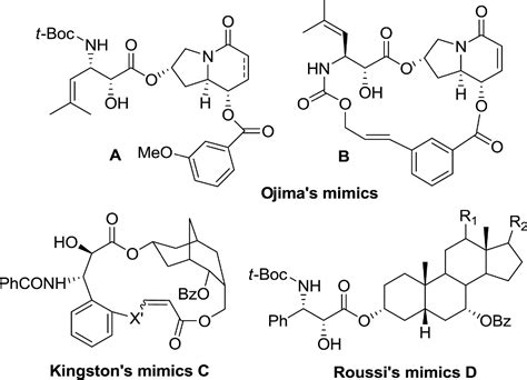 Figure 1 From Design And Synthesis Of De Novo Cytotoxic Alkaloids By Mimicking The Bioactive
