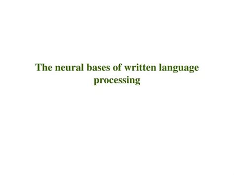 Ppt The Neural Bases Of Written Language Processing Powerpoint