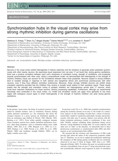 Pdf Synchronisation Hubs In The Visual Cortex May Arise From Strong Rhythmic Inhibition During