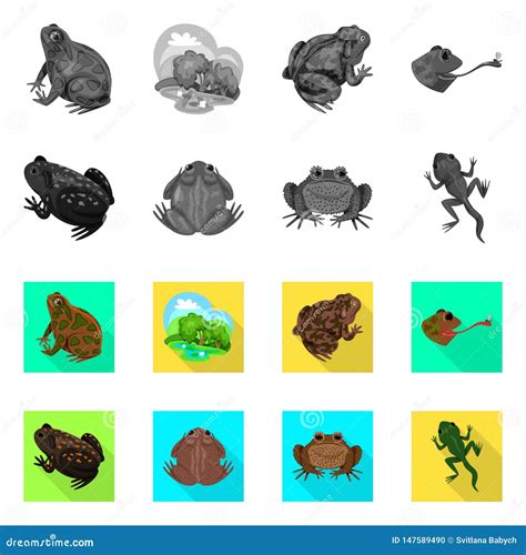 Isolated Object Of Wildlife And Bog Logo Set Of Wildlife And Reptile Vector Icon For Stock