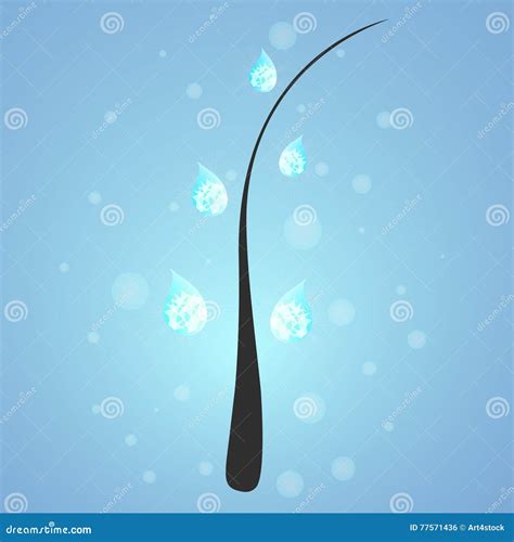 Scalp Follicle Stock Illustrations Scalp Follicle Stock Illustrations Vectors Clipart