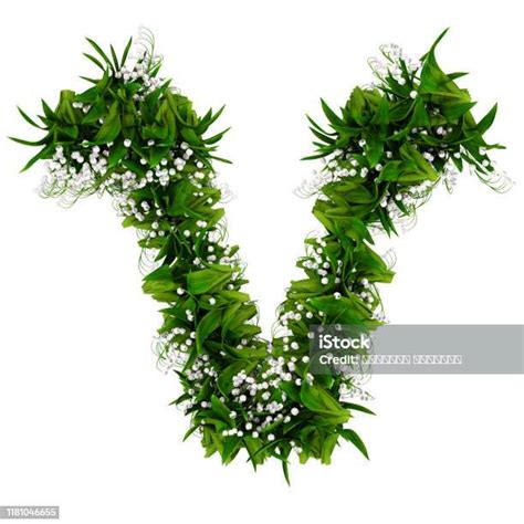 흰색에 고립 된 꽃과 잔디로 만든 문자 V 3d 일러스트레이션 0명에 대한 스톡 사진 및 기타 이미지 0명 개념 계절 Istock