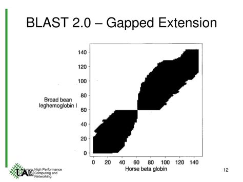 Ppt Gapped Blast And Psi Blast A New Generation Of Protein Database