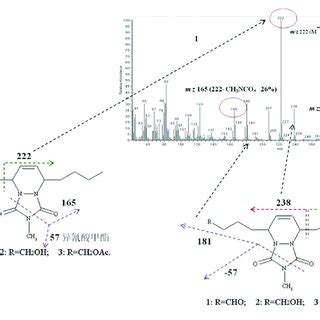Mass Spectrometry Output Of The Derivatives Of The Sex Components Of Download Scientific