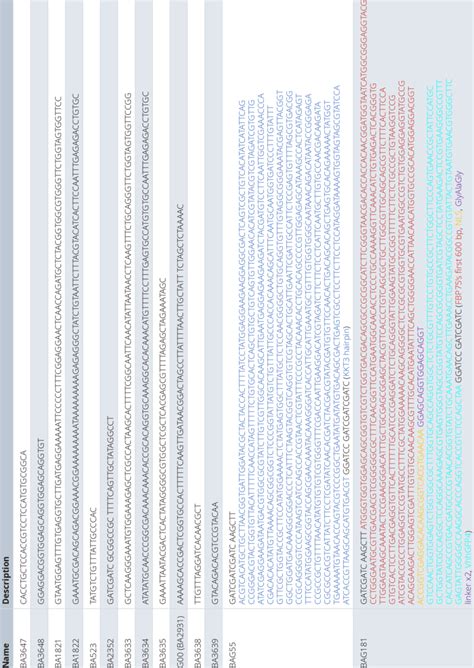Sequence Of Primers And Synthetic DNA Used In This Study Download Scientific Diagram