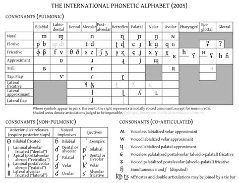 difference between vowels and consonants