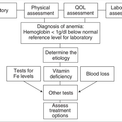 Normal Hemoglobin And Hematocrit Ranges Download Table