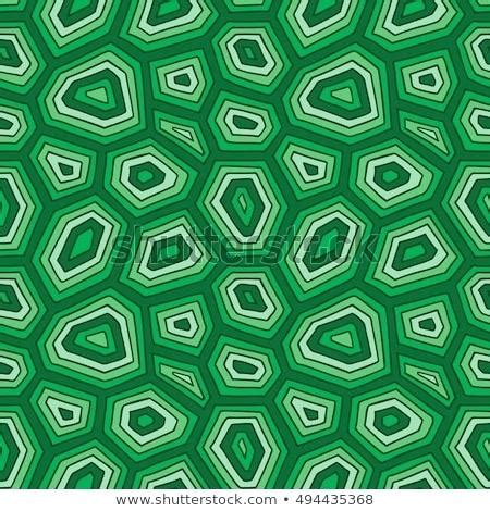 Turtle Shell Pattern Drawing At PaintingValley Com Explore Collection Of Turtle Shell Pattern