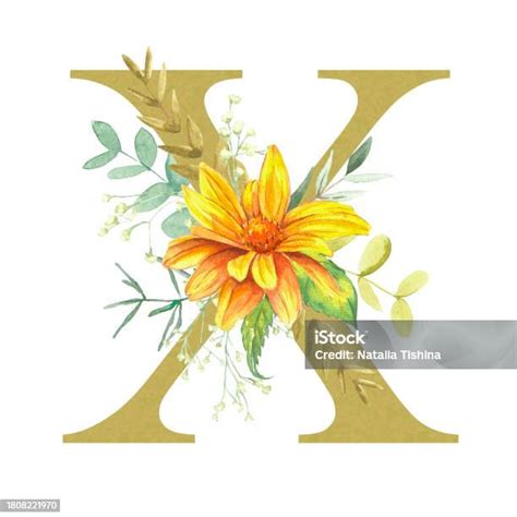 꽃 알파벳 문자 X 알파벳 문자는 차분한 금색이며 해바라기 유칼립투스 및 다양한 허브의 수채화 꽃으로 장식되어 있습니다 9월에 대한 스톡 벡터 아트 및 기타 이미지 Istock