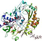 Enzymes Probiotics Extracts Creative Enzymes