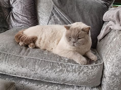 Supervisor Album On Imgur