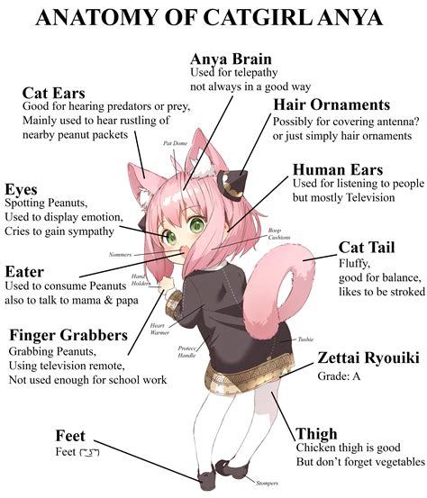 Anatomy Of Catgirl Anya Rgoodanimemes