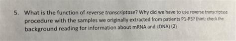 Solved What Is The Function Of Reverse Transcriptase Why