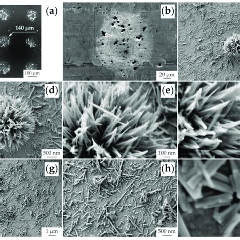printed film microstructure and element distribution maps ni co and