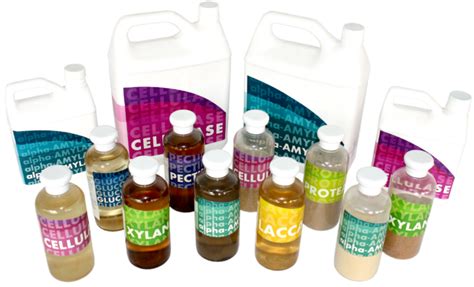 Pectinase Enzyme Biotech
