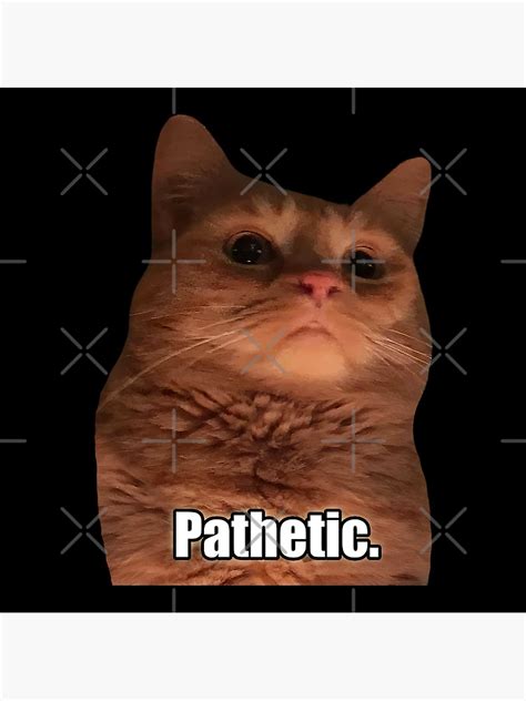 Pathetic Face Memes