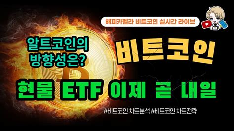비트코인 실시간 비트 현물etf 이제 곧 내일 알트의 방향성은 110점심💎 비트코인 비트코인실시간 이더리움 리플