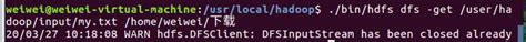大数据之hadoop学习（一）利用shell命令与hdfs进行交互 Csdn博客