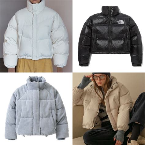 겨울맞이 숏패딩 위시리스트 시야쥬 노스페이스 시눈 스파오 외 여자 숏패딩 추천 네이버 블로그