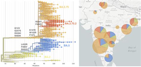 Tracking And Forecasting Sars Cov 2 Variant Spread