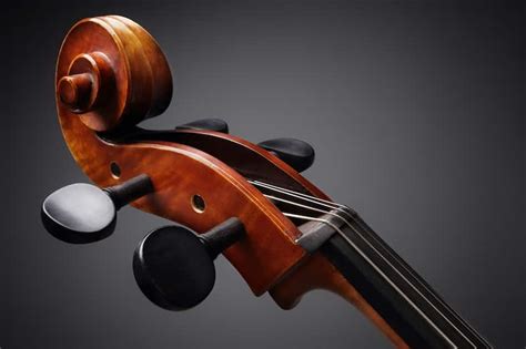 A Guide To The Different Parts Of A Cello Anatomy Explained