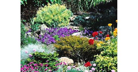 Как и къде да си направя скален кът Български Фермер