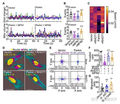 Sci Adv 肿瘤泛素化组学揭示代谢重编程机理 知乎