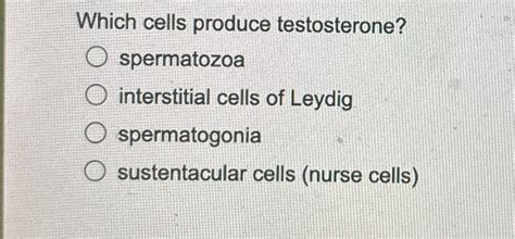 Solved Which Cells Produce