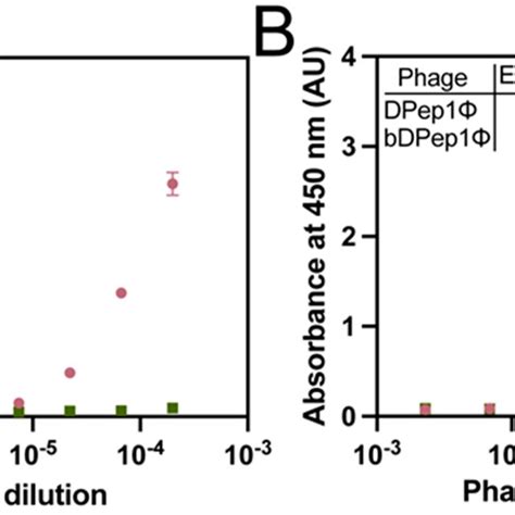 Efficient Phage Biotinylation And Its Effects On Target Binding A Download Scientific