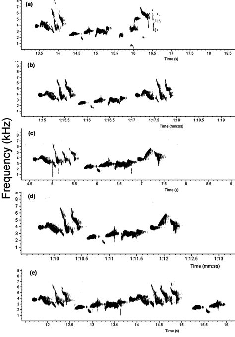 Sonogram Spectrogram Of Complete Phrases Of Omr From 0430 0440 H