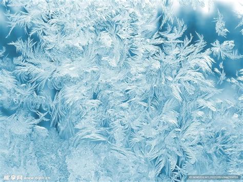 飞雪设计图 自然风光 自然景观 设计图库 昵图网