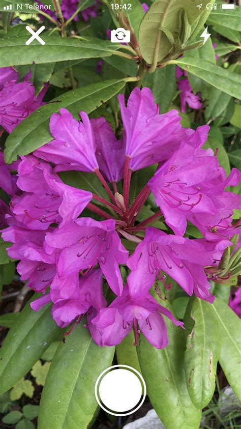 hybrid camera eon s swift blog