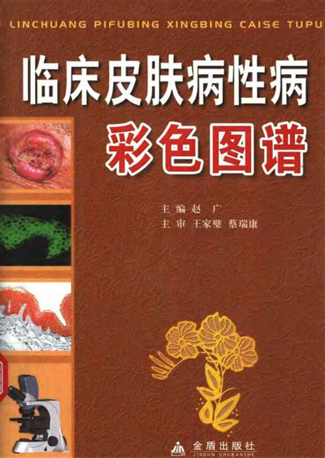 临床皮肤病性病彩色图谱下载医学电子书