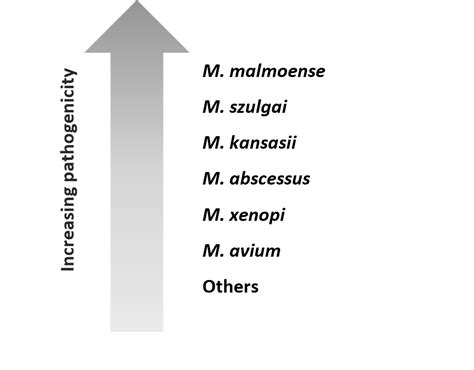 Pathogenesis Infection And Amr Resource Hub