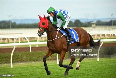 William H Mccarthy Photos And Premium High Res Pictures Getty Images