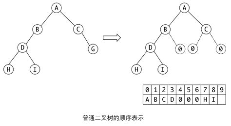 基本概念和实现 数据结构电子讲义
