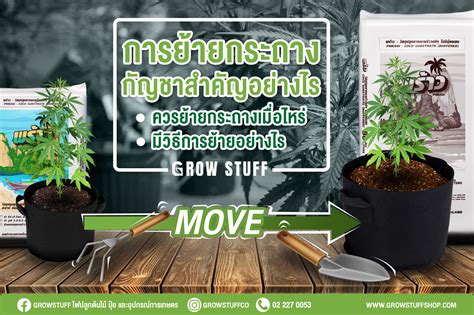 🪴การย้ายกร Growstuff ไฟปลูกต้นไม้ ปุ๋ย และอุปกรณ์การเกษตร