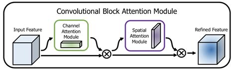 Cbam的理解pytorch实现和用法torch Cbma Csdn博客