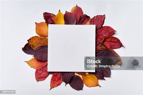 가을 구성 빈 종이로 만든 프레임과 흰색 배경에 나뭇잎 가을 개념입니다 가을 추수 감사절 질감입니다 플랫 레이 상단 보기 복사 공간 0명에 대한 스톡 사진 및 기타 이미지