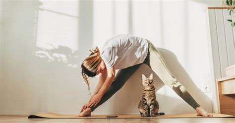 what is cycle syncing tiktokers are using their menstrual cycle to optimize their health