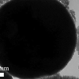 Schematic Representation For The Preparation Of CuTiO MS Download Scientific Diagram
