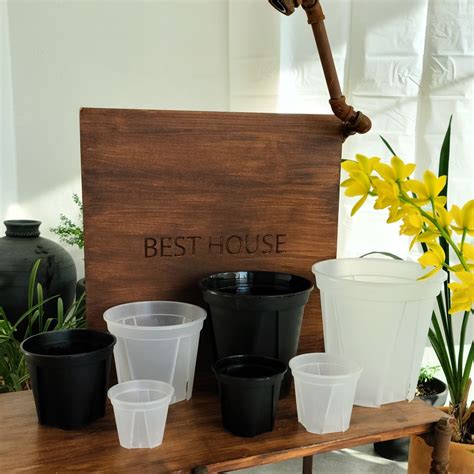 플라스틱 표준형 슬릿화분 삽목화분 12cm 투명 단품 오픈마켓 우리들쇼핑