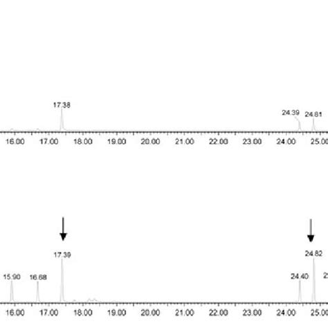 Hs Spme Gcms Analysis Of A Nonpropagated Plants Maintained In The Download Scientific Diagram
